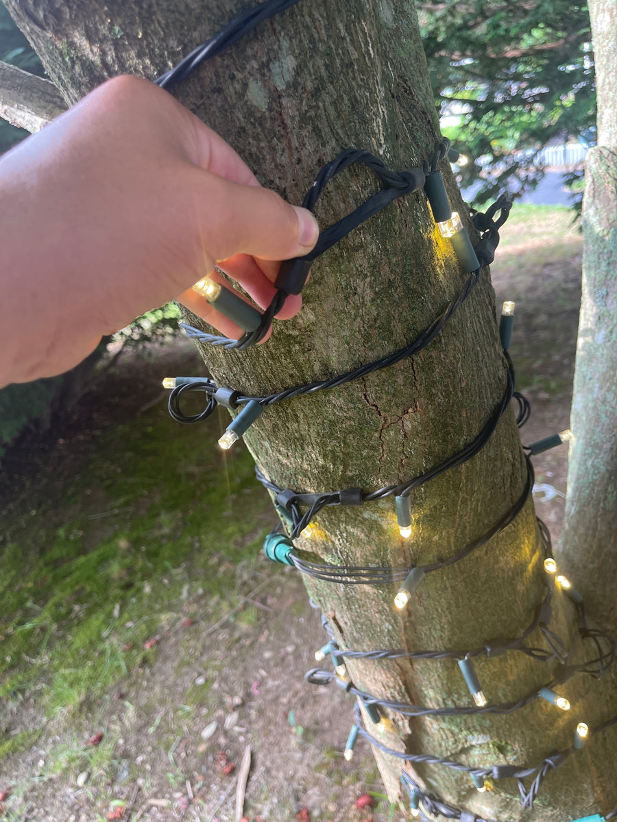 Everlasting lights (stretching lights that grow with trees – Christmas ...