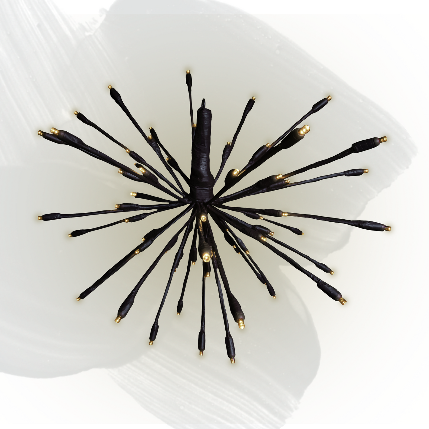 Christmas Light Contractors – Christmas Light Contractors USA