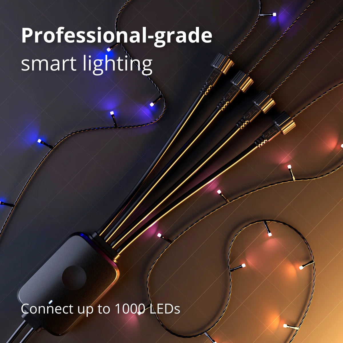 Twinkly Plus 4-Port Controller – Christmas Light Contractors USA