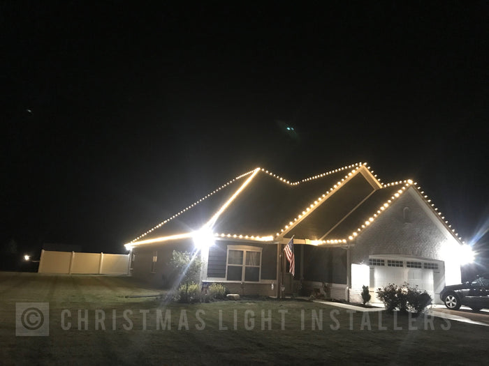 Clips - Ridge Clips – Christmas Light Contractors USA